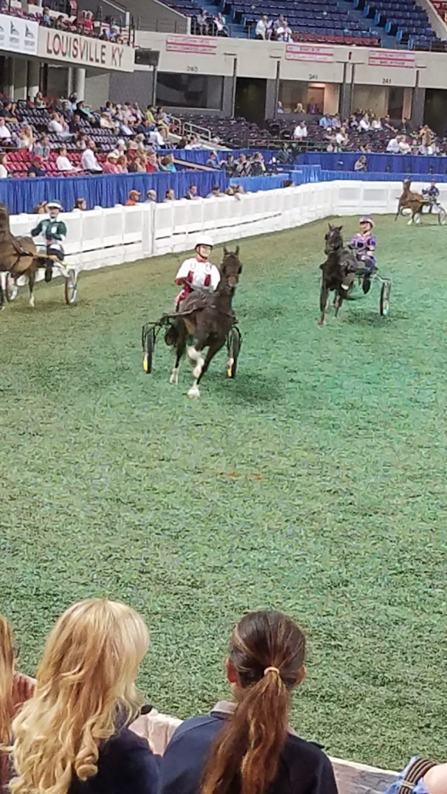 The American Saddlebred: 8/25/17 World's Championship Horse Show at ...