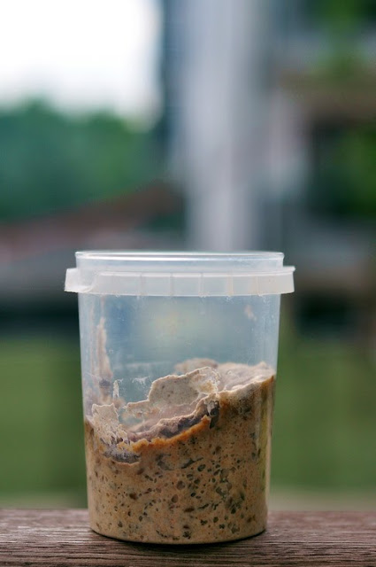 Širšių lizdas: Duonos raugo atgaivinimas