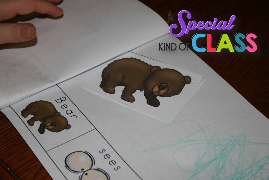 A Special Kind Of Class Bear Sees Colors Day One