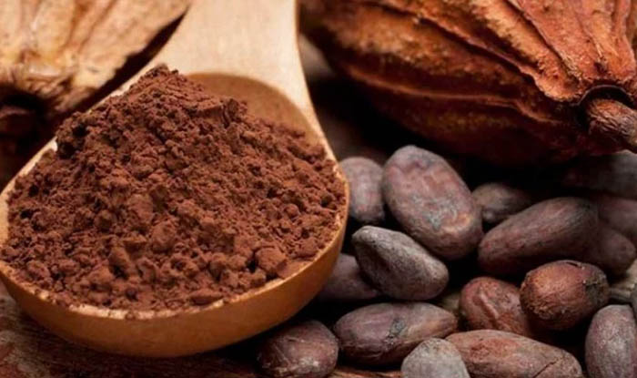 Invita Tabasco a su VIII Festival del Chocolate ~ Mira tu México