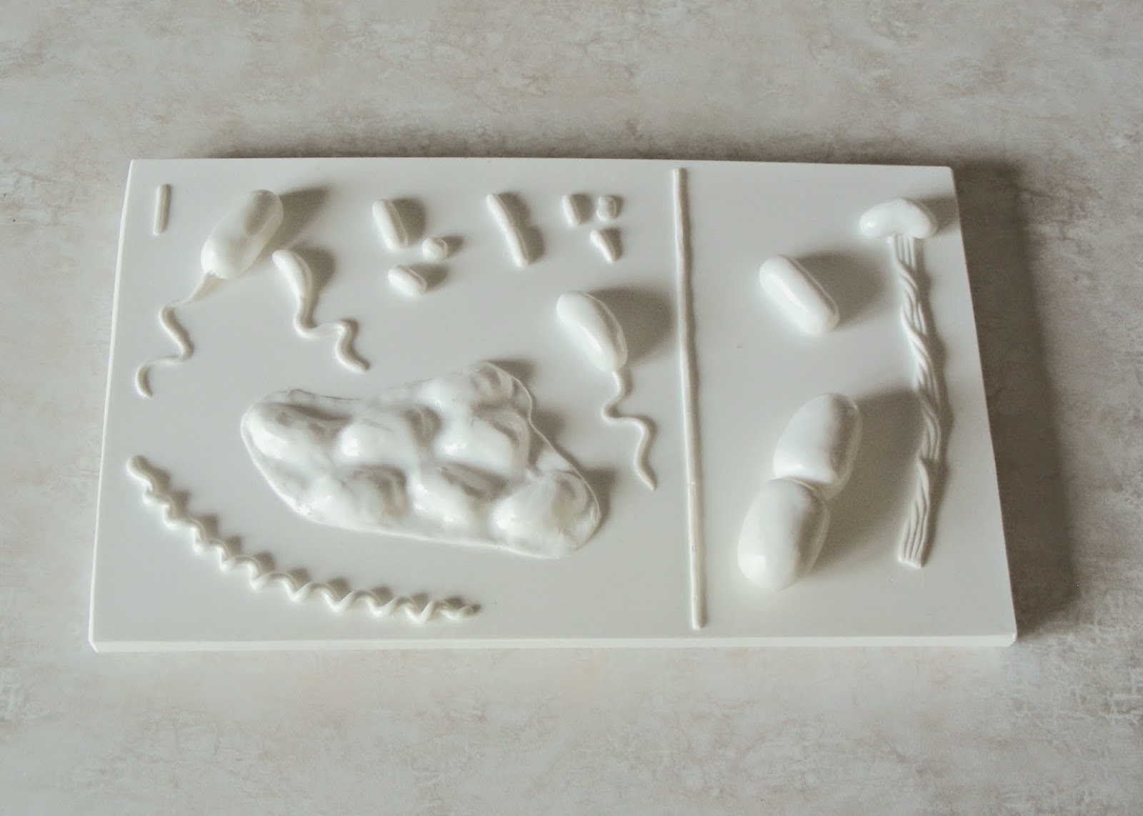 Microbe Models: 2014