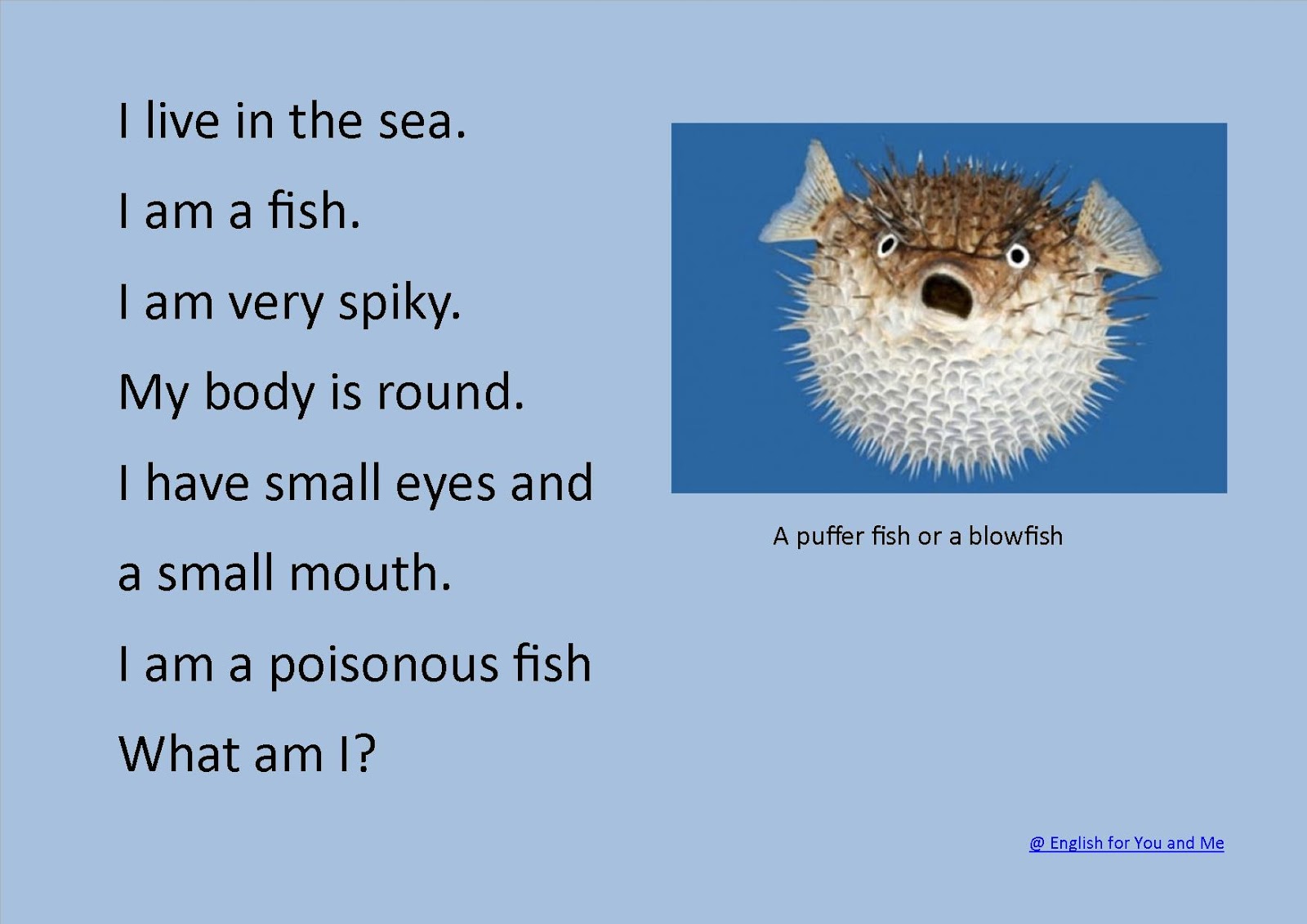 English For You And Me Riddles English For You And Me Riddles