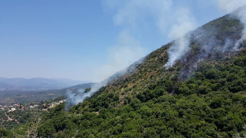 NEWS MESSINIA - ΜΕΣΣΗΝΙΑΚΑ ΝΕΑ και ΕΙΔΗΣΕΙΣ: ΚΥΠΑΡΙΣΣΙΑ - ΦΩΤΙΑ ΑΠΟ ΤΟ ...