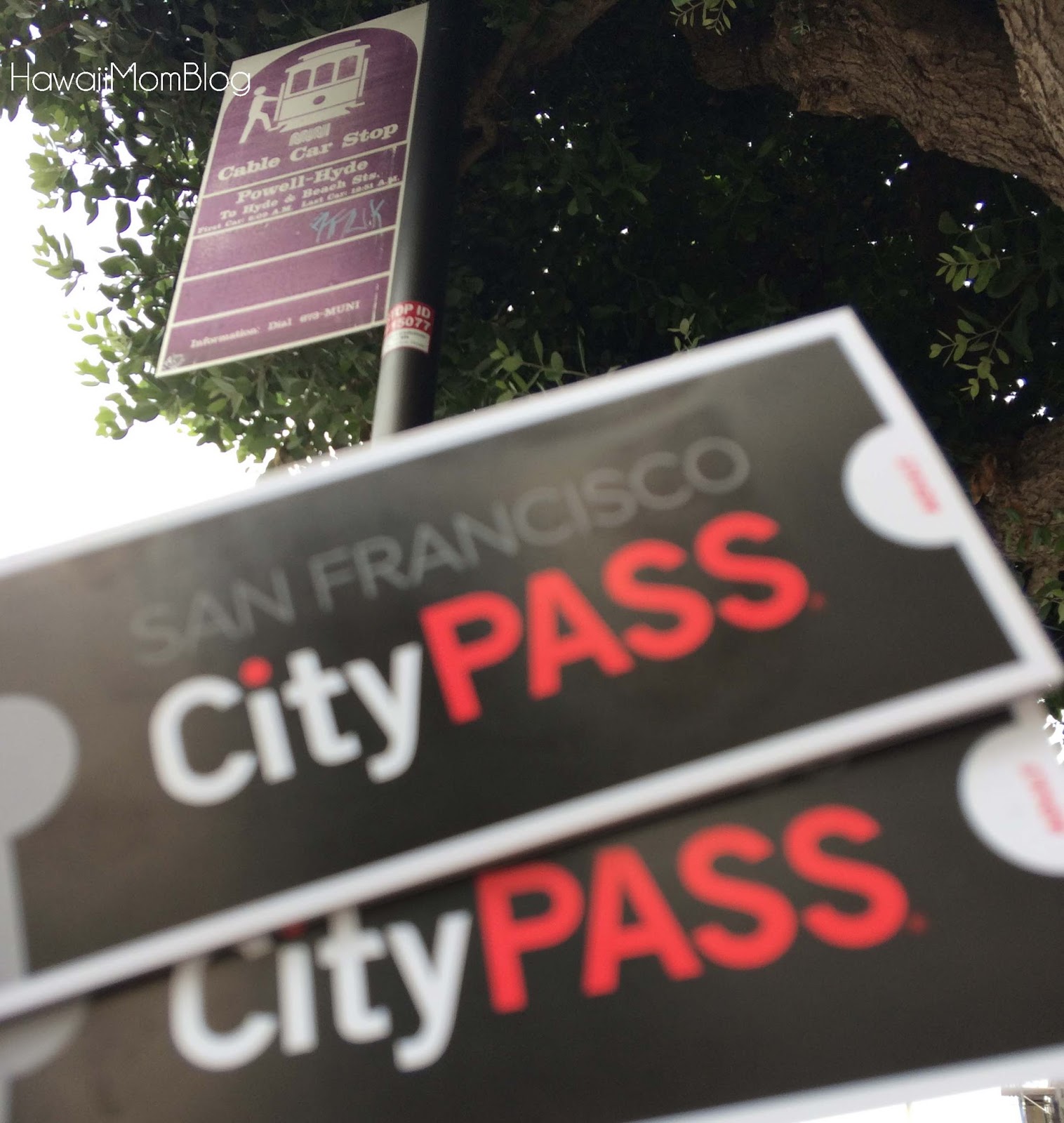 Muni And Cable Car Pass