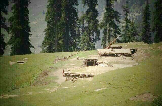 Huts In Dadhri Of Doda - The Chenab Times