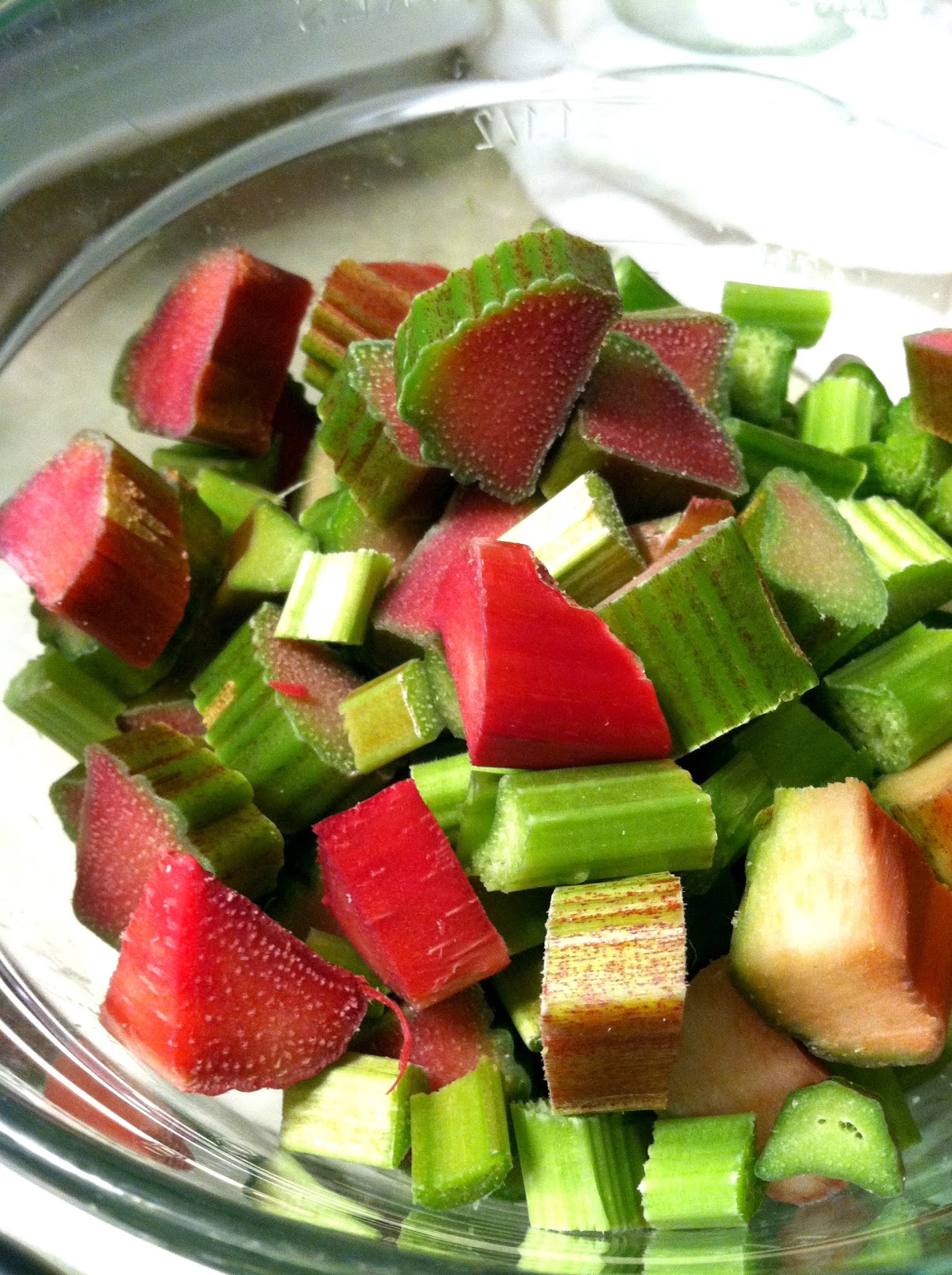 Back to Basics: Rhubarb Syrup