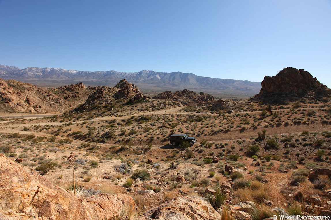 Desert Art Nude: Desert Dude Ranch