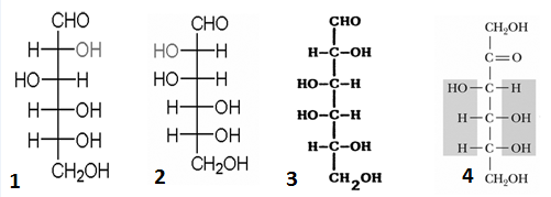 Kimia Organik II: Monosakarida dan Penentuan Stereokimianya