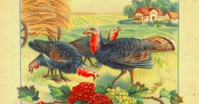 25 Colorful Vintage Thanksgiving Turkey Postcards ~ Vintage Everyday