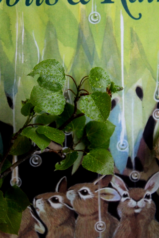 Books and Umbrellas: Rabbits & Raindrops by Jim Arnosky