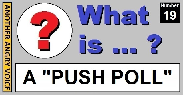 What is a push poll?