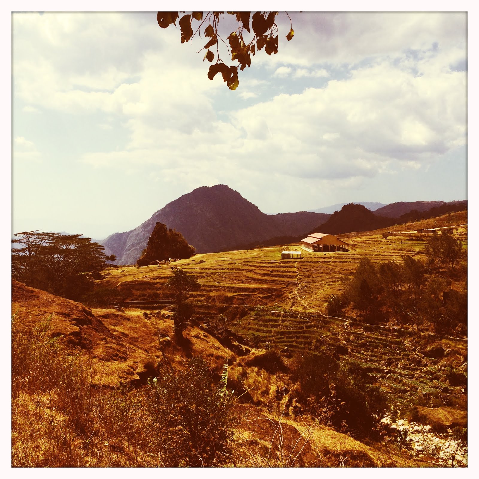 Dr Tani Brown : Atsabe, Timor-Leste