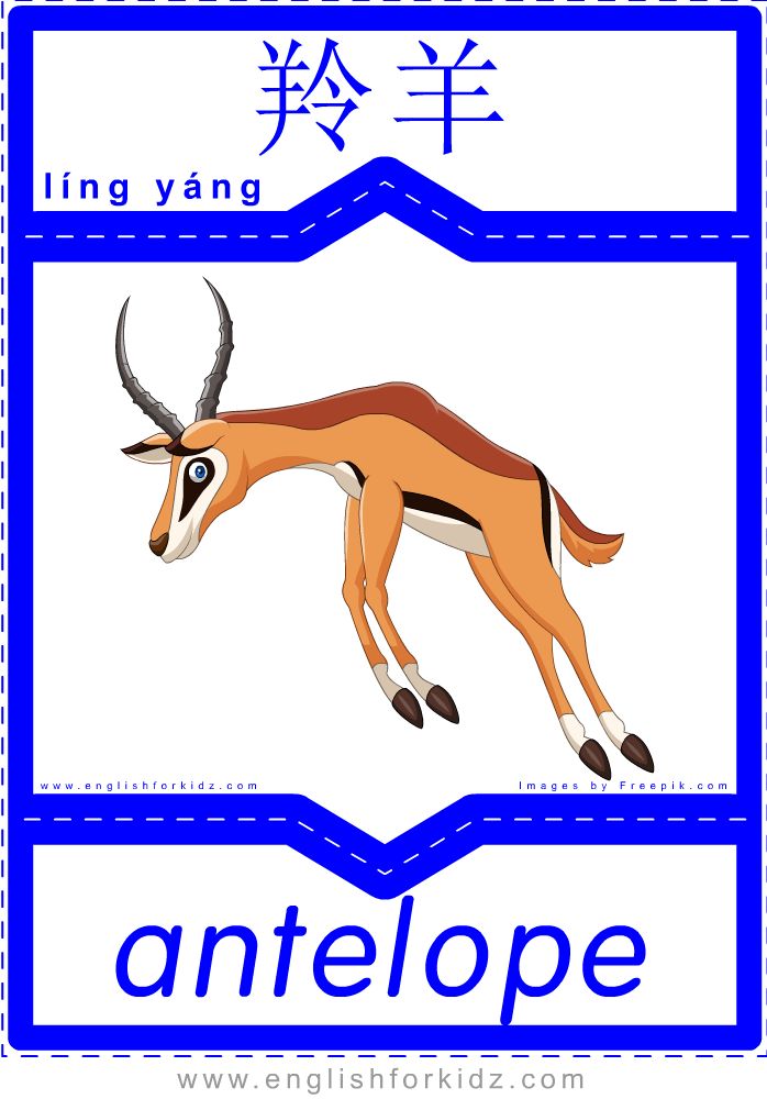 English-Chinese Flashcards: Wild Animals. Part 1.