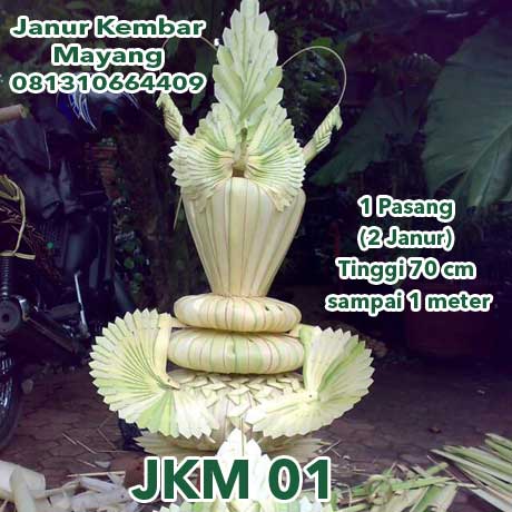 Jual Janur Pernikahan Kirim Ke Jakarta, Serpong, Tangerang, Bekasi ...