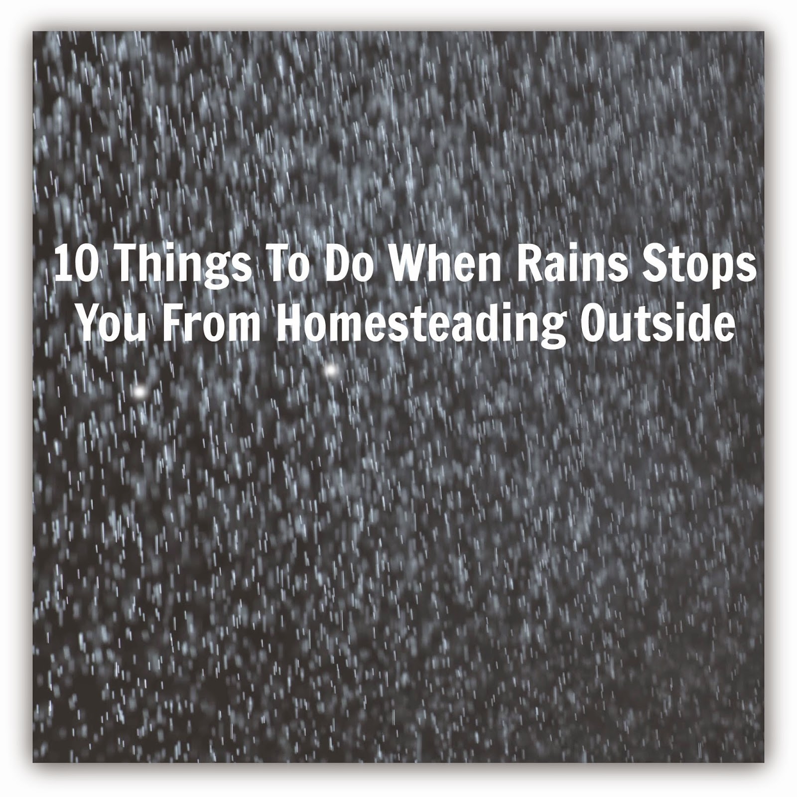 10 Things To Do When Rain Stops You From Homesteading Outside - Living ...
