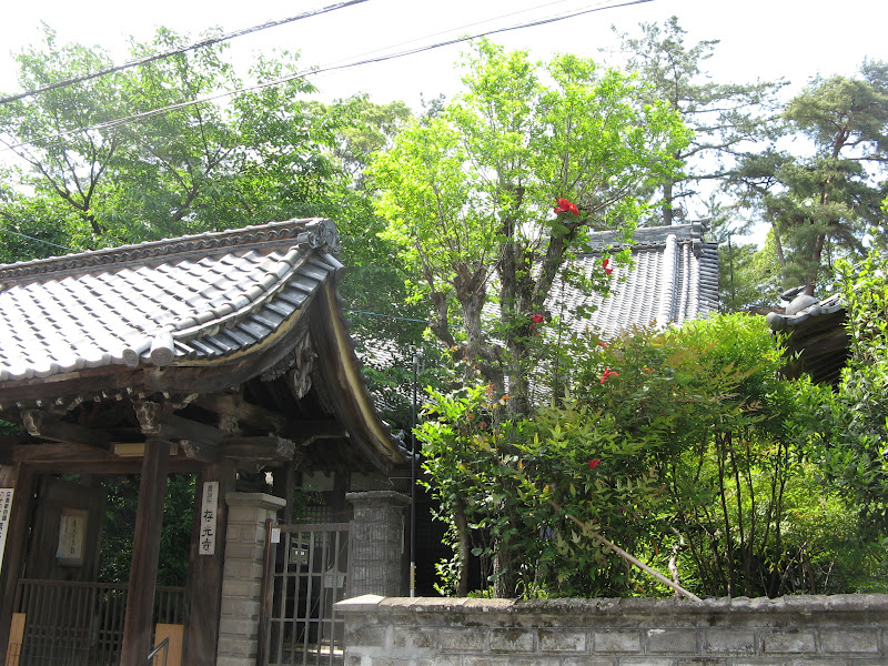 Christopher At Sogetsu Tokyo: TOKYO JOURNAL