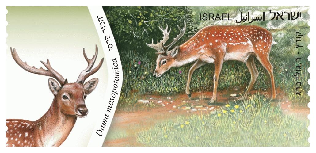 Gulfmann ATM Collection: ISRAEL ~ Israeli Endangered Wild Animals