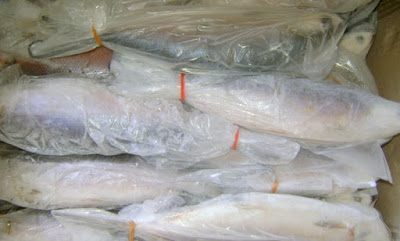 Milkfish Supplier, Milkfish Fresh Market, Milkfish Fillet, Bangus Fish ...