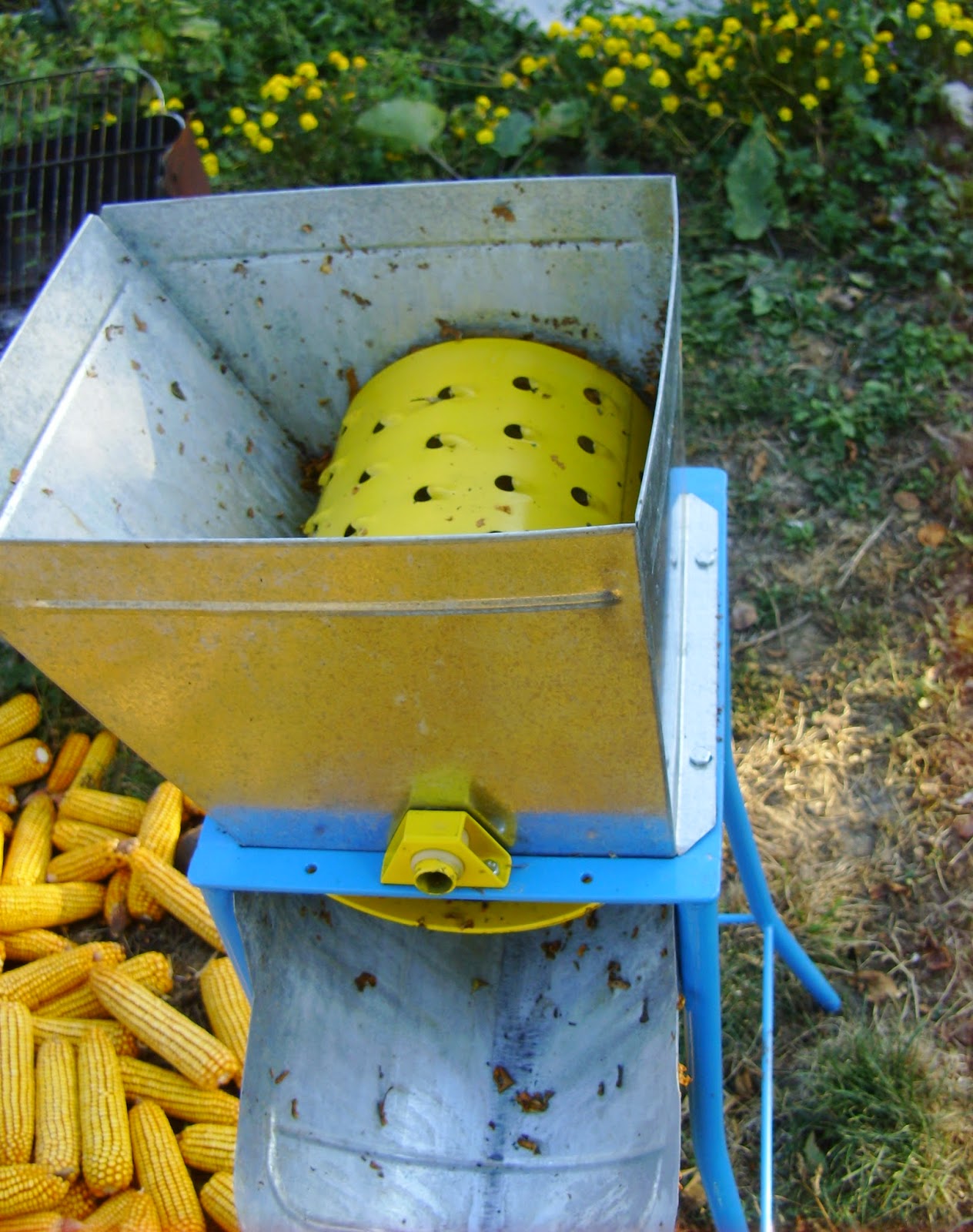 Ferma lu' Moș Ghiță: Chipsuri de mere