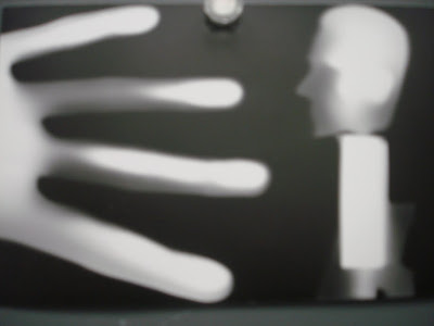 Digital Photography: Step by Step Guide On How To Make A Photogram