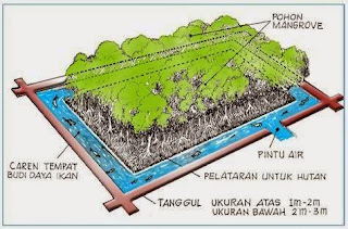 Wicara Mina: SILVOFISHERY (WANAMINA)