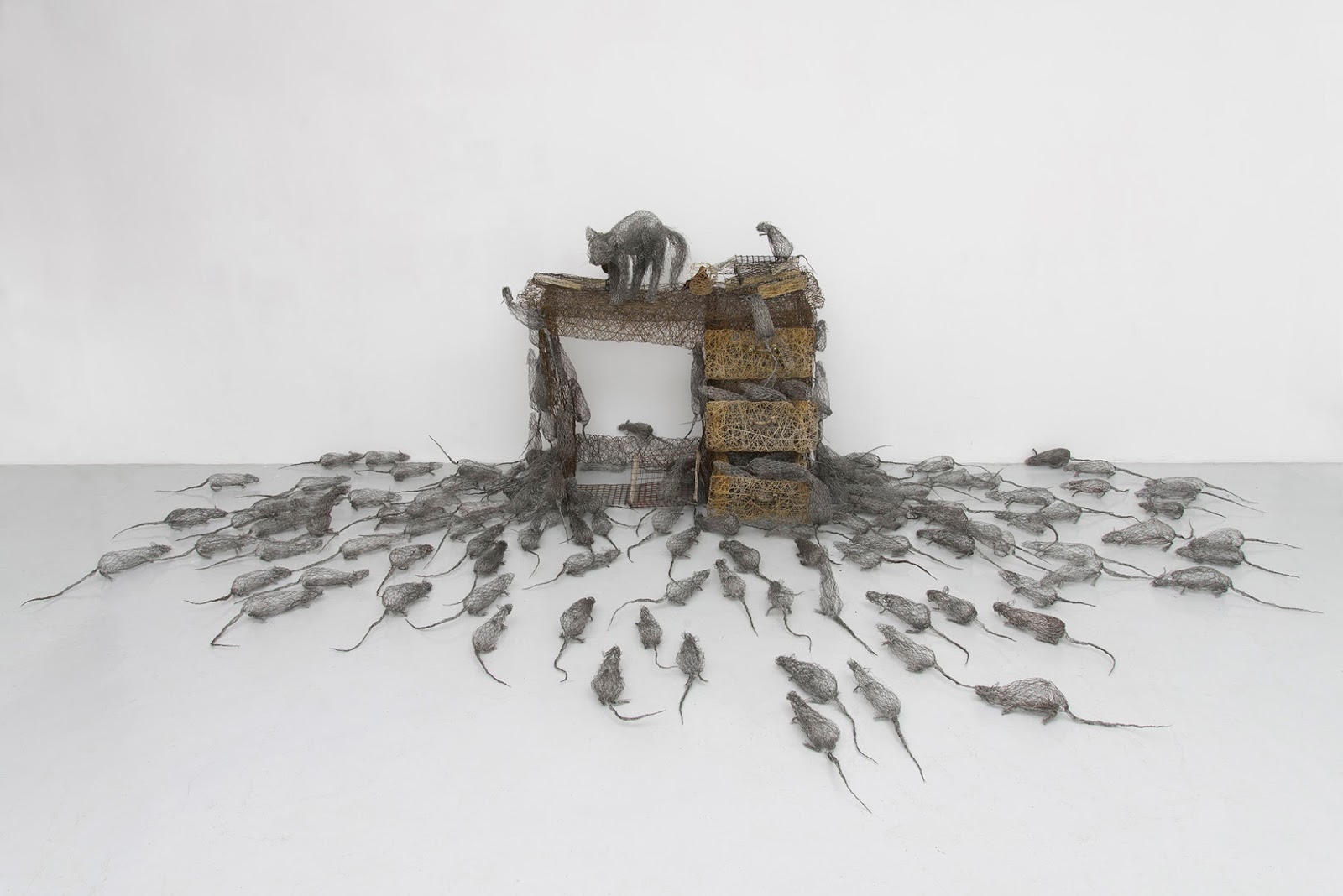 Jamil Zakaria ~ Young Guns