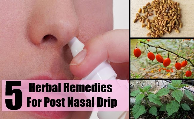 5 Herbal Remedies For Post Nasal Drip ~ Mzizi Mkavu