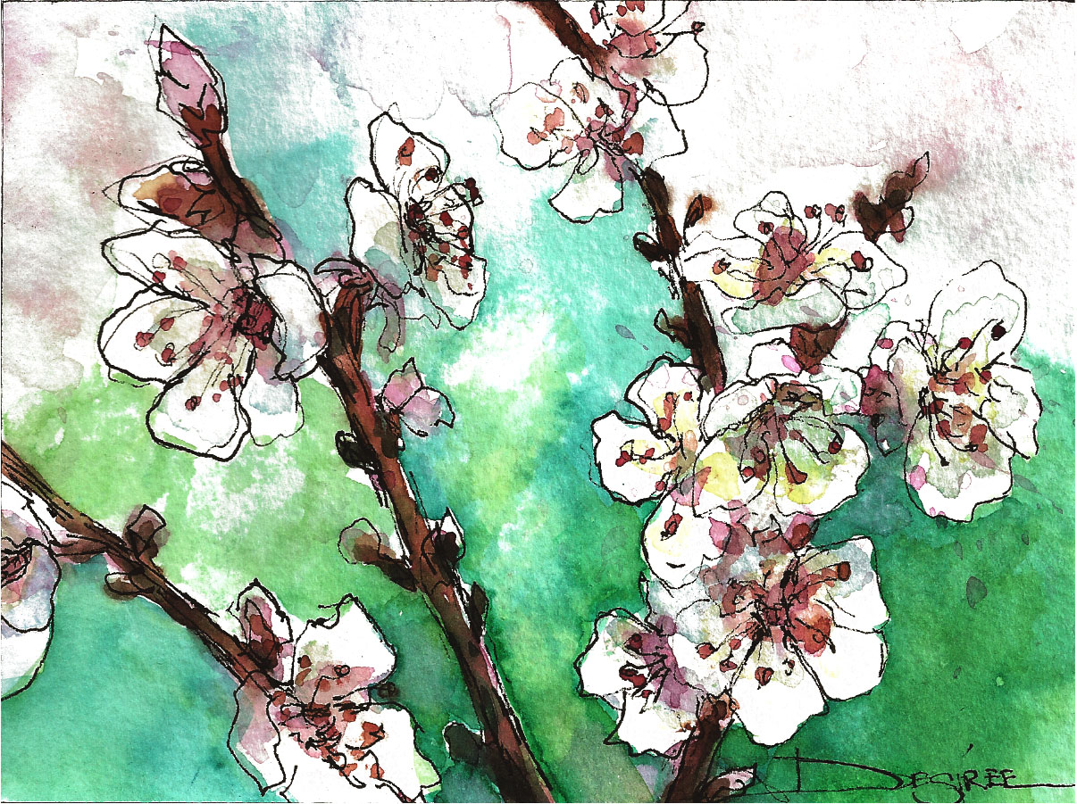 Sketching in Nature: Apricot Trees are blooming