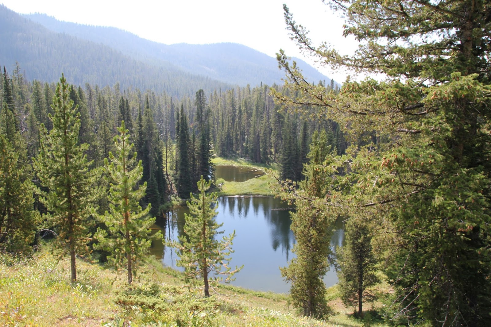 On The Road Again! - With Bob and Barbara: Knox Lake - New and Improved!