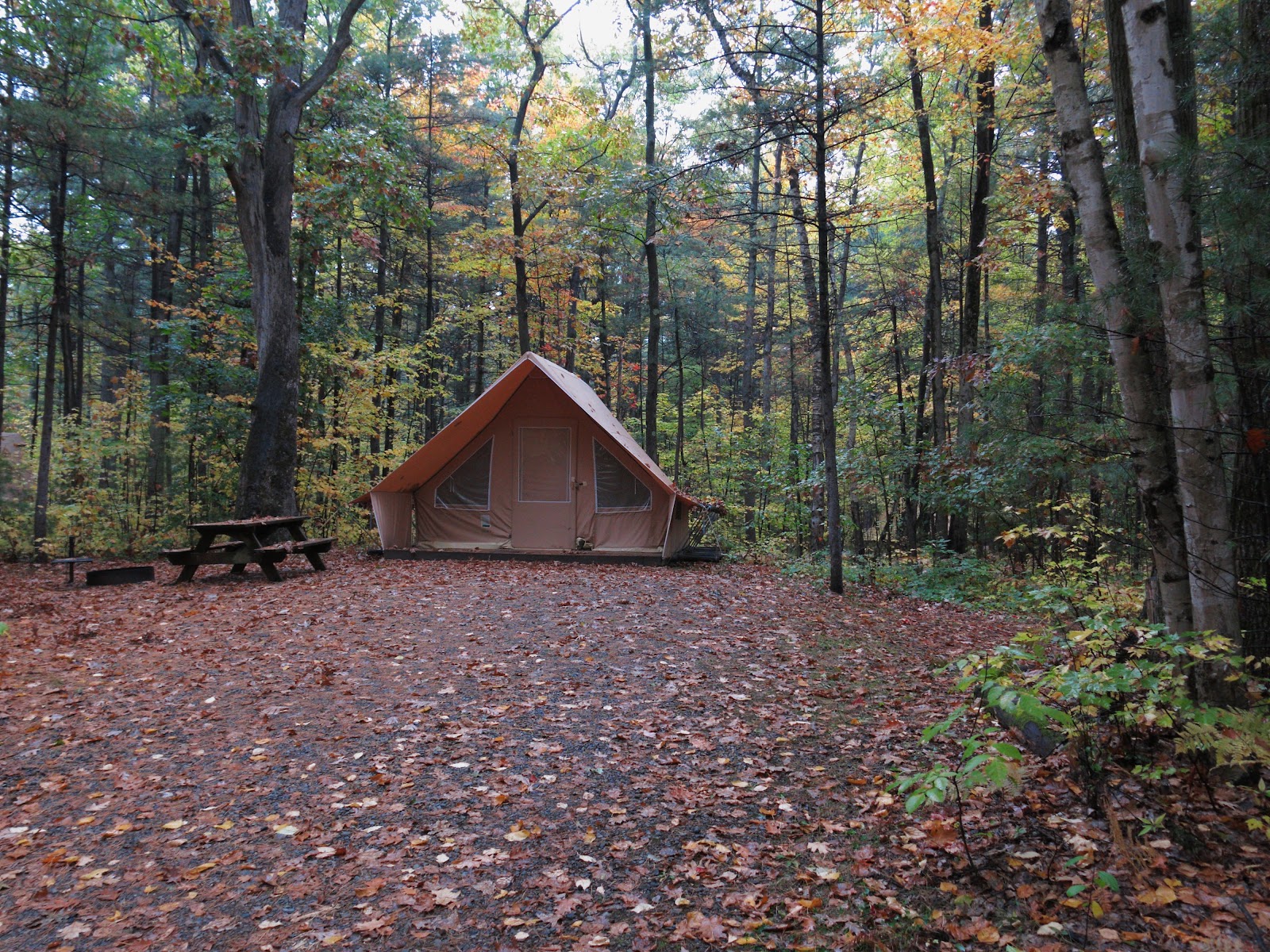 The Campsites: Oka National Park, Huttopia 131