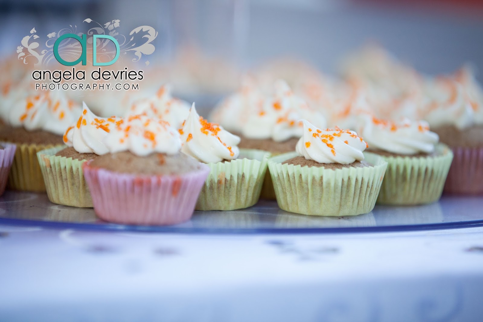 Angela DeVries Photography: The beautiful Jennifer Ancona's wedding ...