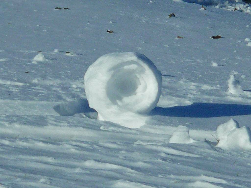Snow Rollers: Nature’s Winter Treat ~ Kuriositas