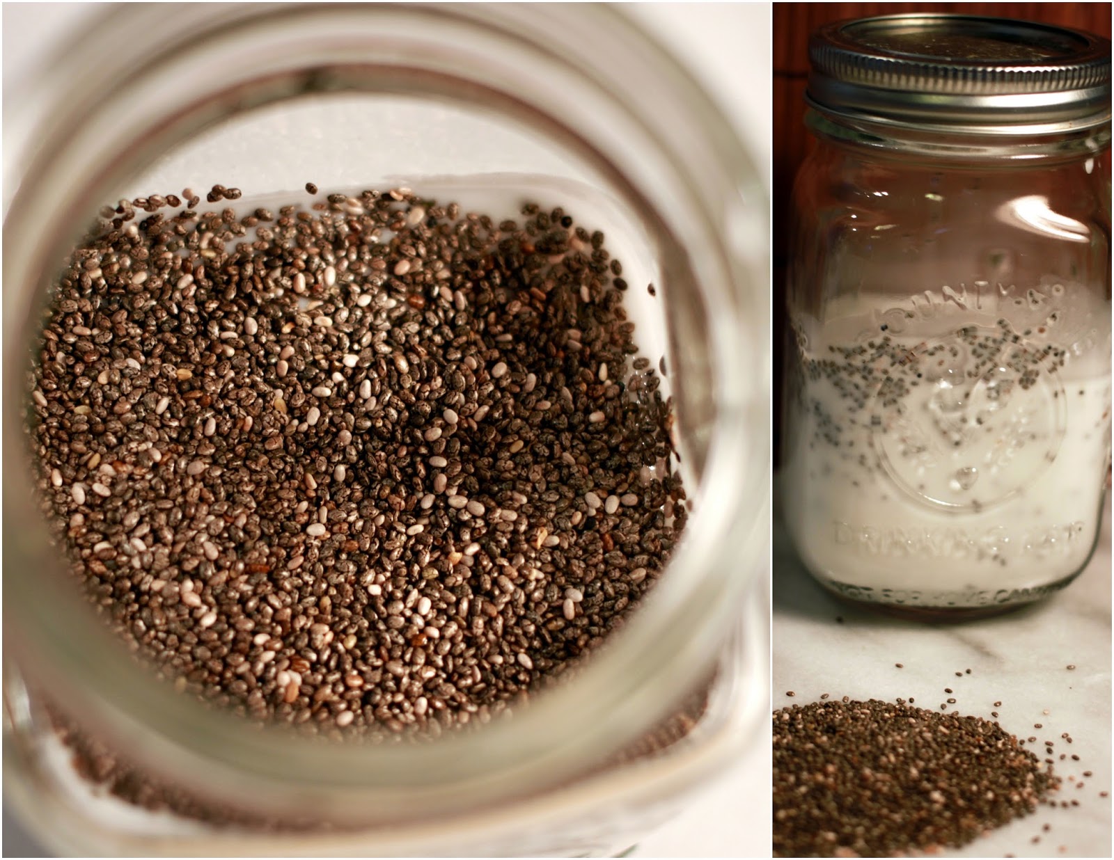 Rocks Fashion Bug: Chia Pudding