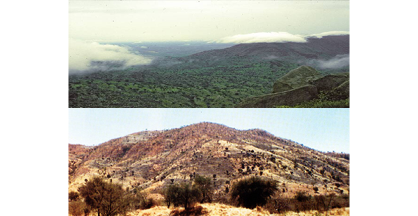 royaltyculture: BORNO STATE; Its People and Culture