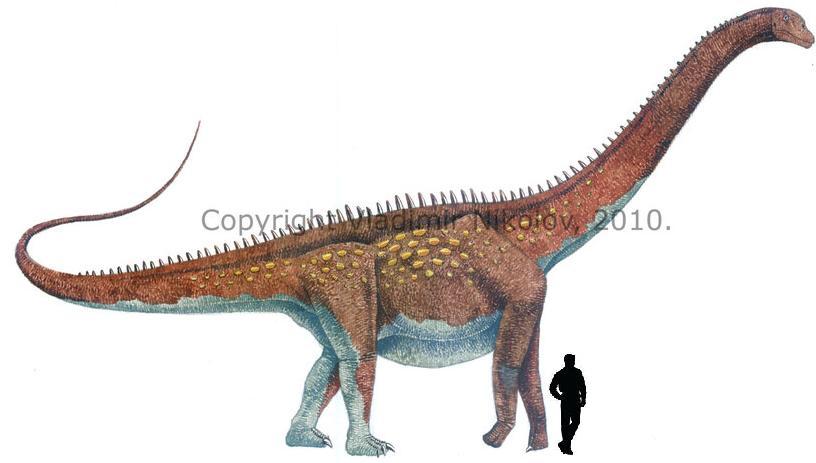 Los animales en la prehistoria: Animales prehistóricos con la letra A