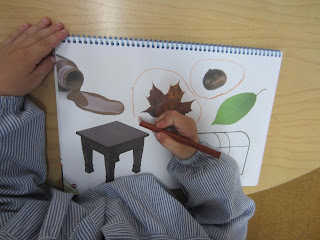 BLOG DE PATRI, educación infantil: COLOR MARRÓN