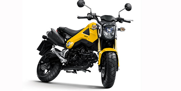 Honda MSX 125 Mini Moto Honda sturdy and well built | The New Autocar