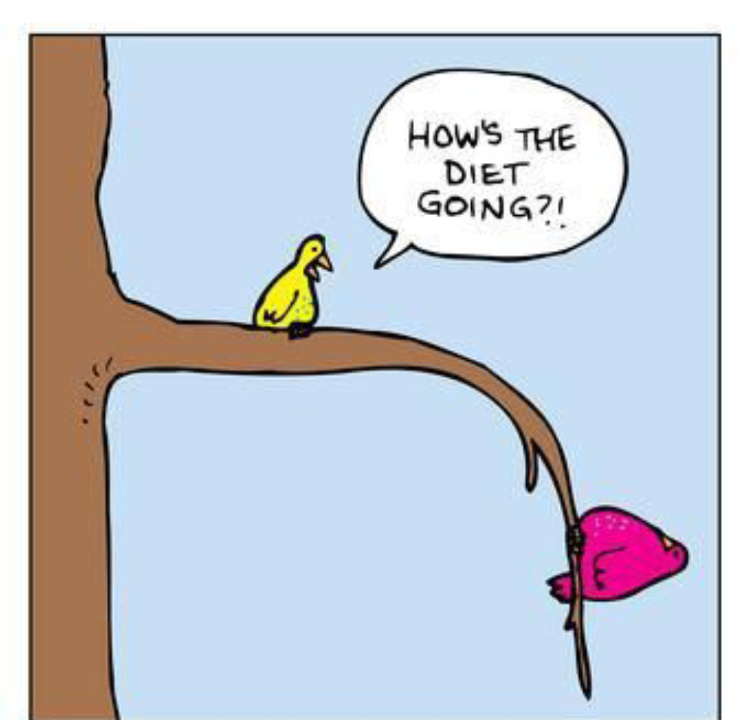 Breathing in Grace: { Weight Loss Humor }