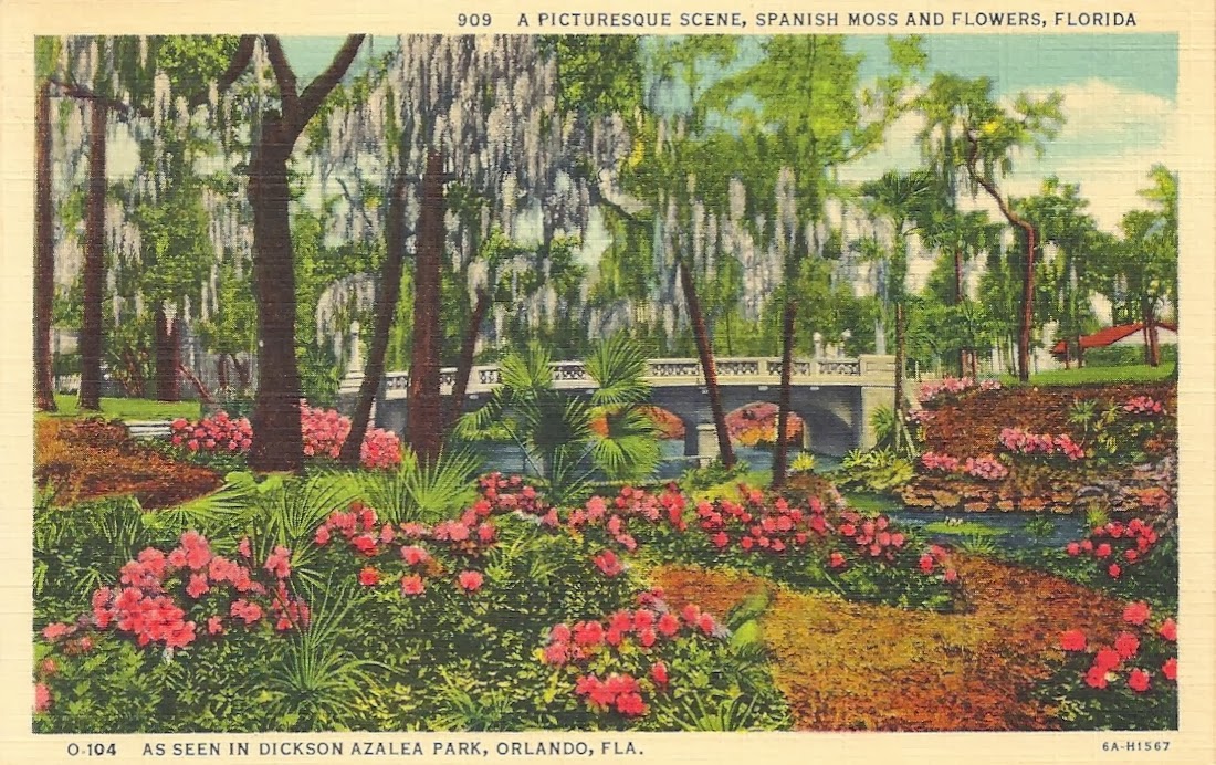 My Favorite Views: Florida - Orlando, Dickson Azalea Park