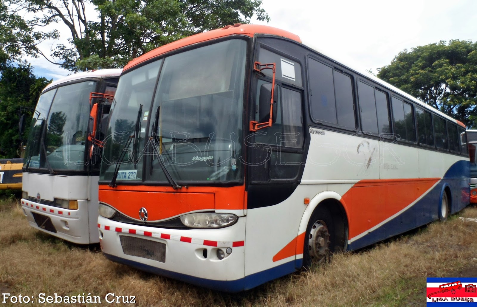 Liga Buses CR: agosto 2017