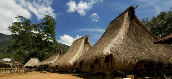 Atap Rumbia Kami: Kegunaan dan Kelebihan Atap Rumbia