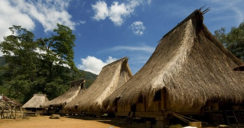 Atap Rumbia Kami: Kegunaan dan Kelebihan Atap Rumbia