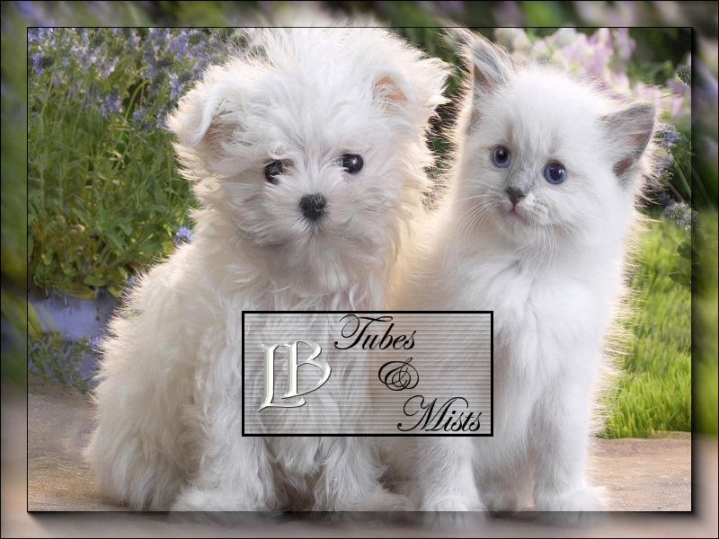 LB TUBES & MISTS: ANIMALES