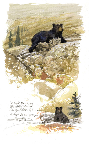 JOHN C. PITCHER - DRAWING CLOSE TO NATURE