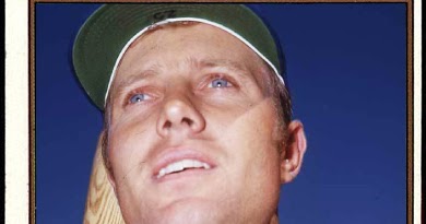 WHEN TOPPS HAD (BASE)BALLS!: NOT REALLY MISSING IN ACTION- 1976 DON ...