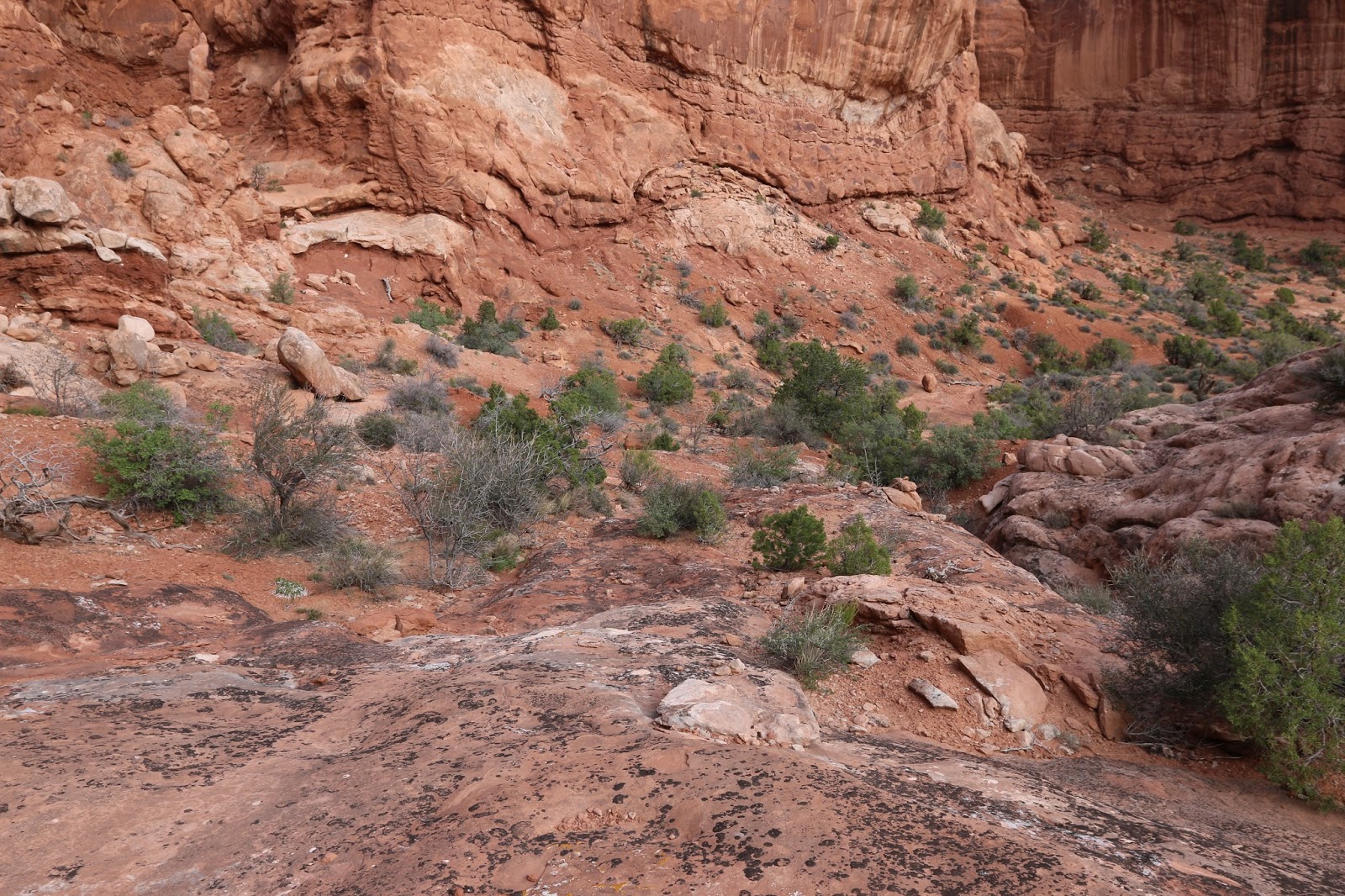 gjhikes.com: Ribbon Arch