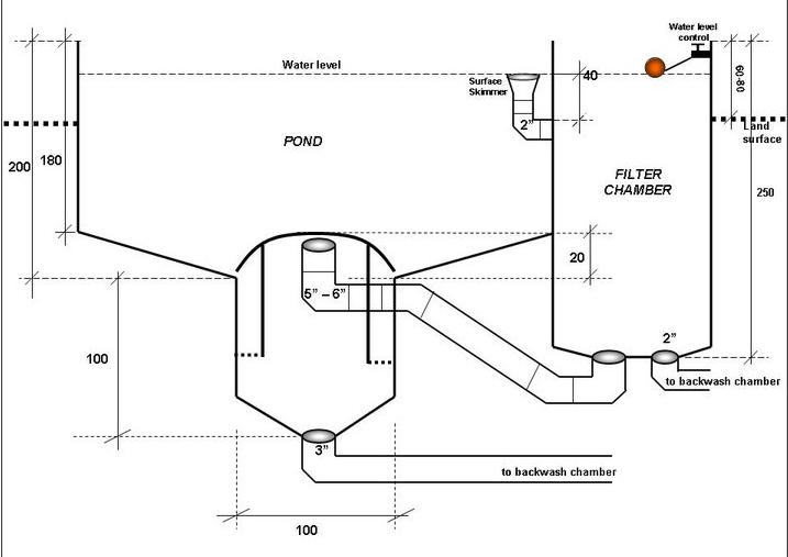 NADIN KOI: design Kolam dan Filter Sederhana