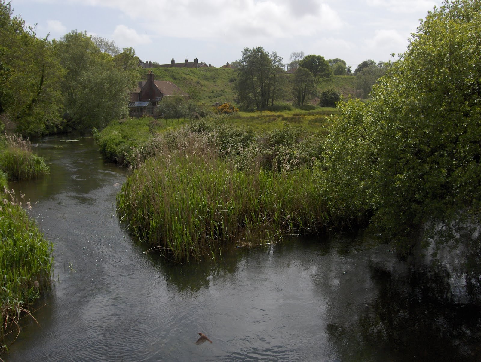 67 Not Out: River Piddle Makes The Trade Unions Smile