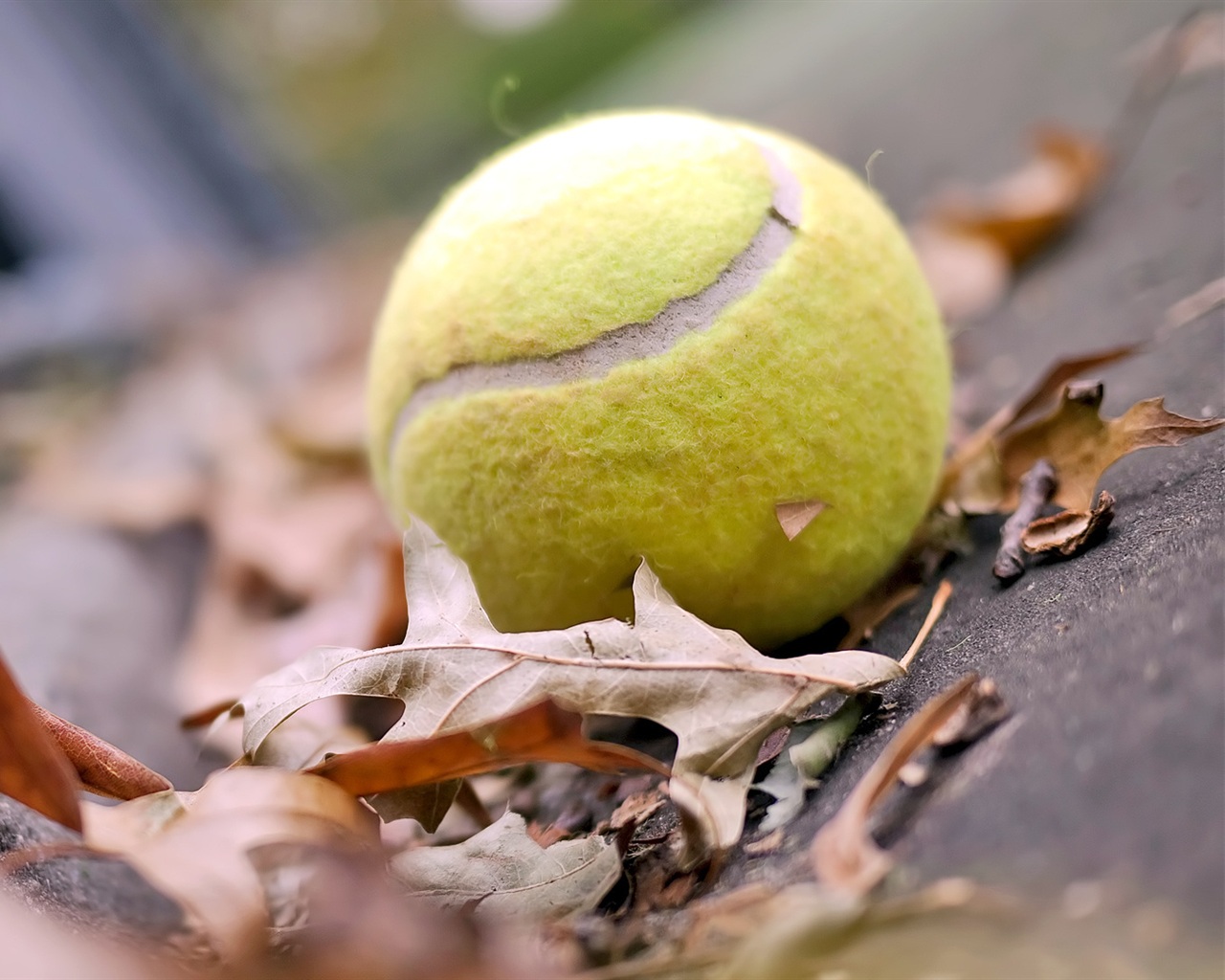 TENIS: ¿Qué es el tenis?
