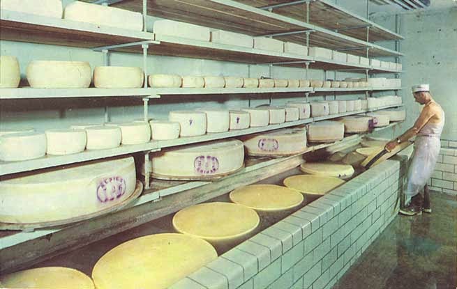 *Postcard Gems: Swiss Cheese Making
